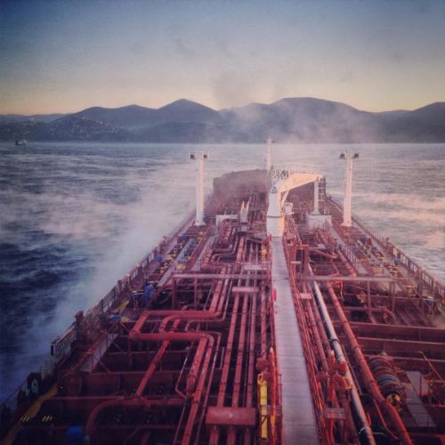 8 reasons why Mariners are blessed